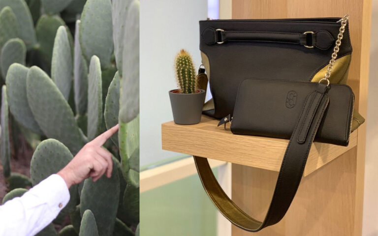 The Complete Guide To Plant-Based Leather: What Is Plant-Based Leather ...